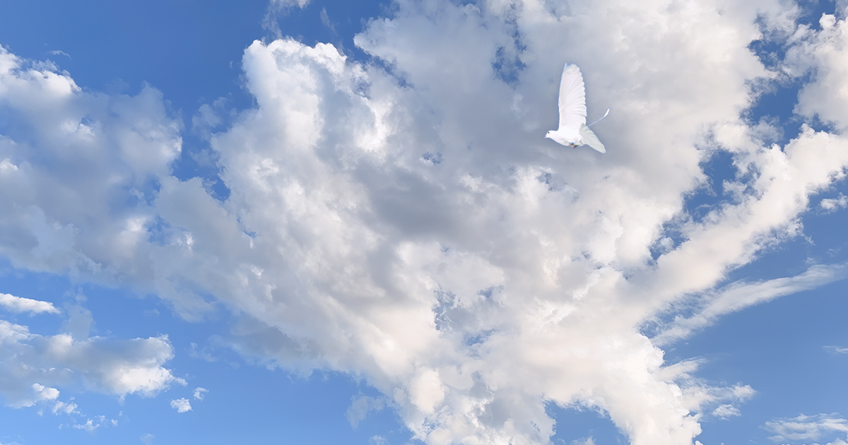 Liquid Mind Music: Sedative Music Therapy